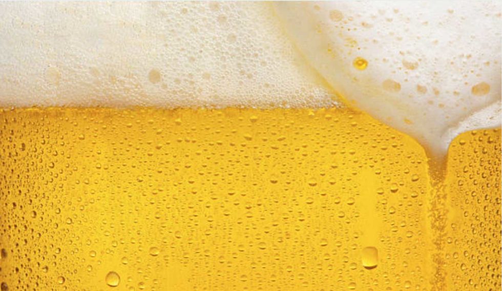 Calcium Chloride for Brewers - 7 Key Benefits • Biocel Ltd