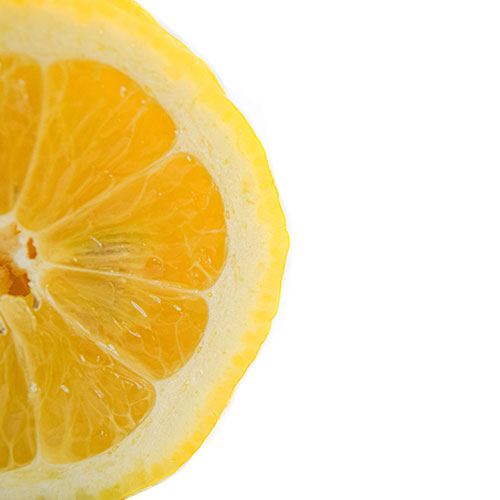 CITRIC ACID POWDER (FOOD GRADE) • Organic • Biocel Ltd