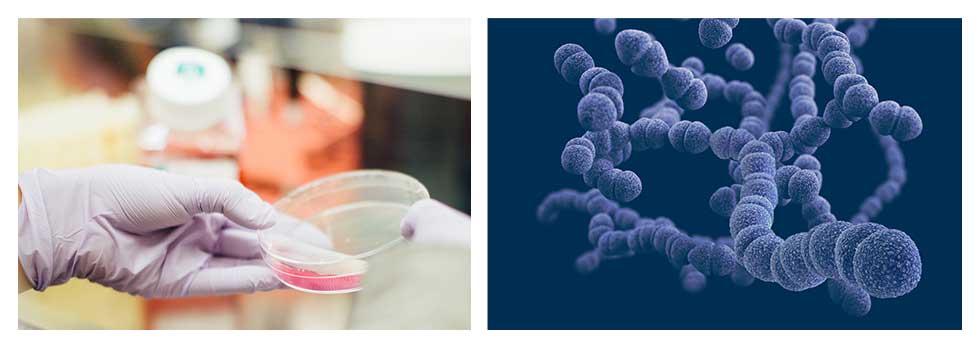 Allergen Cleaning & Validation • Products & Services • Biocel Ltd