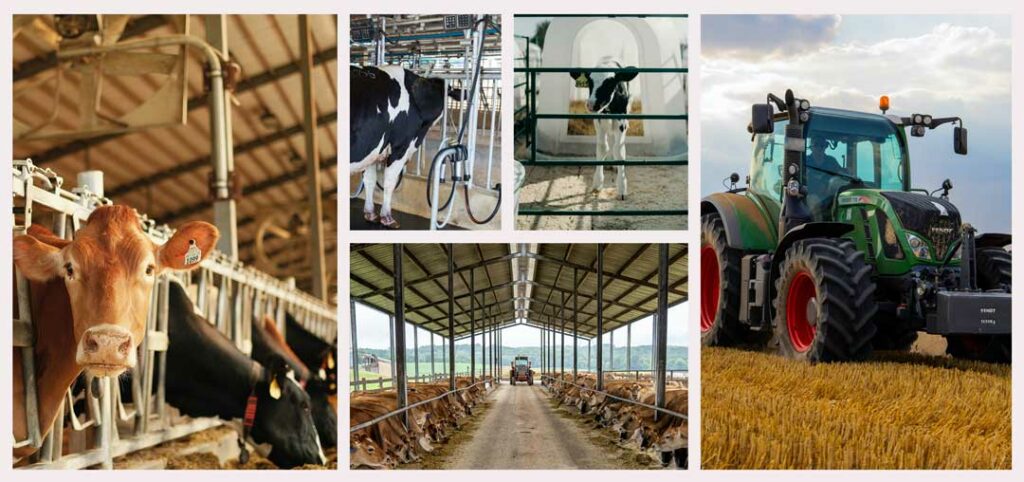 Peracetic Acid Disinfectant To Safeguard Your Farm • Biocel Ltd