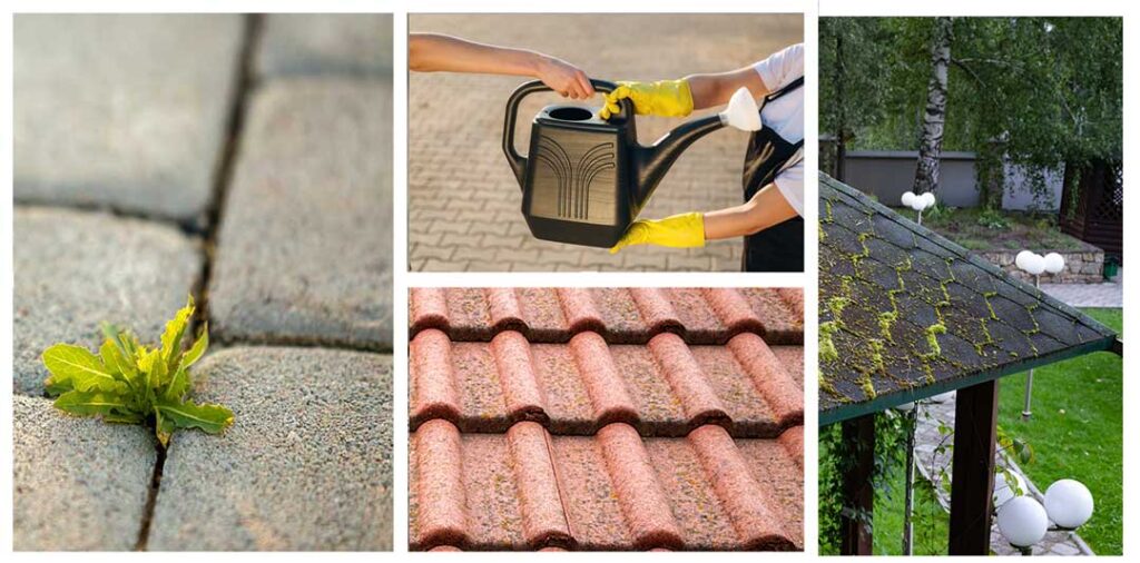 Best Concrete Cleaner & Algae & Remover for Outdoor Surfaces • Biocel Ltd